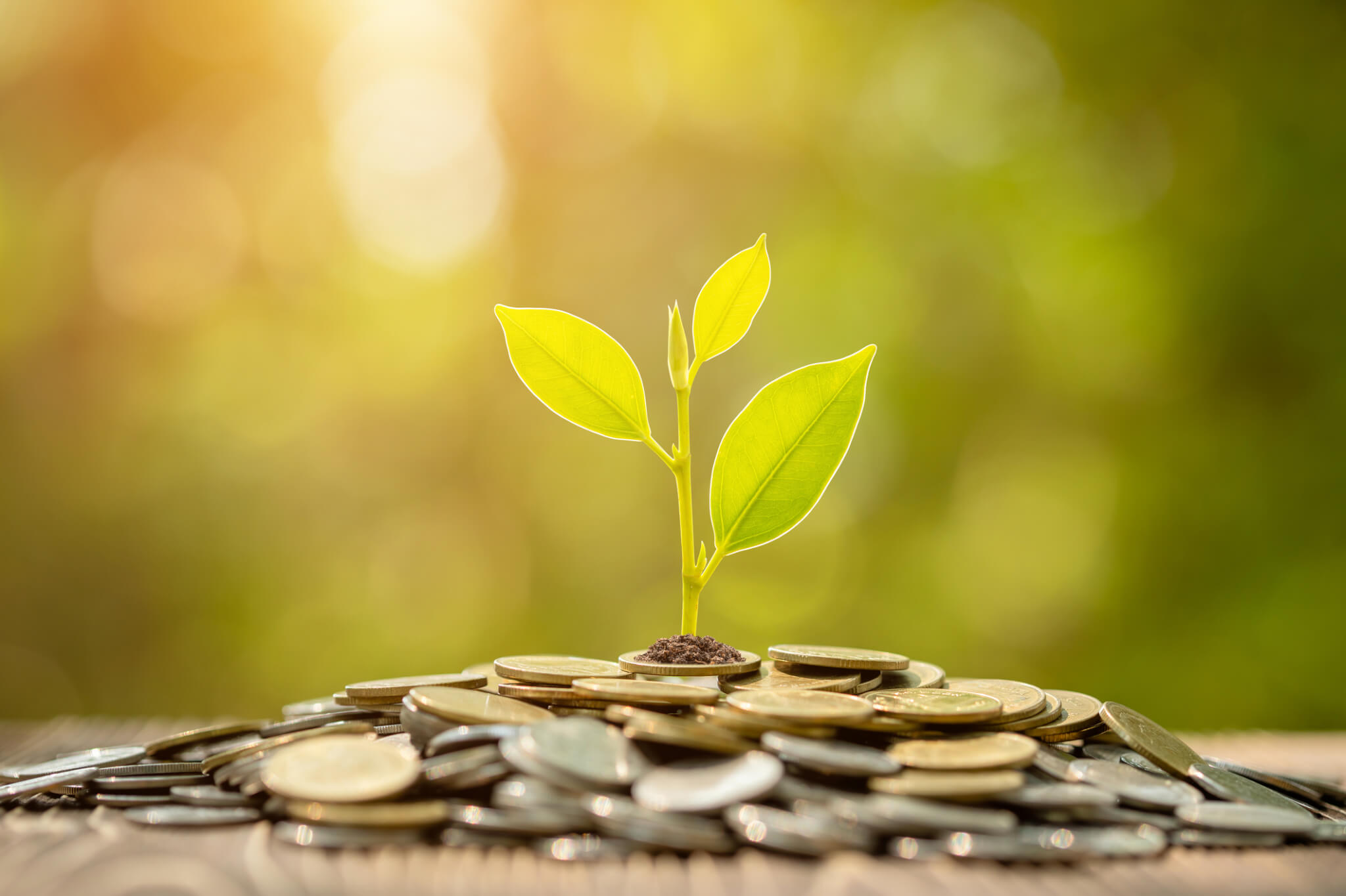 IFRS Sustainability Disclosure Standards Under Preparation DReport In IFRS Sustainability Disclosure Standards Under Preparation DReport In
