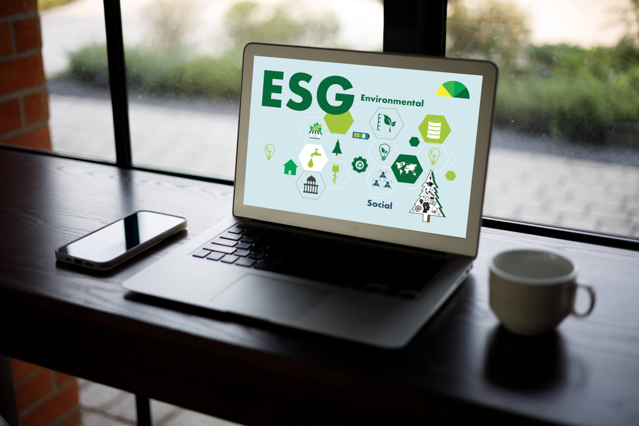 ESG: What is the danger of social washing? – dReport in English